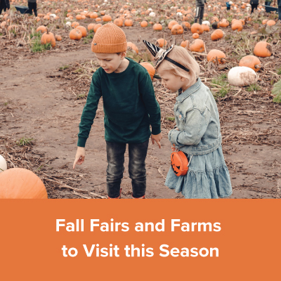 Fall Fairs and Farms to Visit this Season